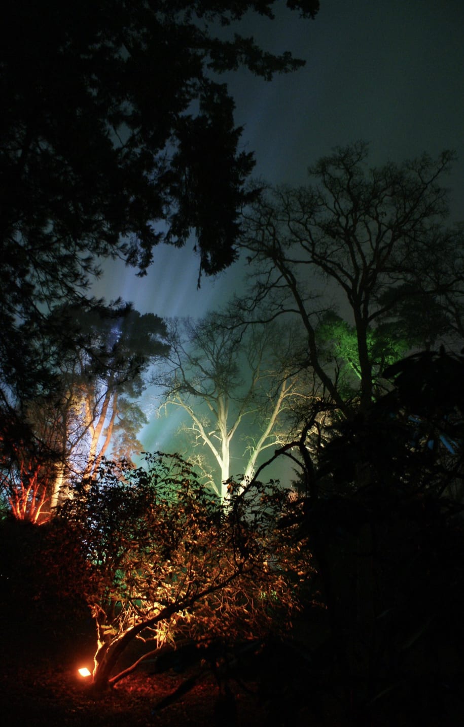 Outdoor Lighting Installers UK enchanted Forest Creative Lighting Services