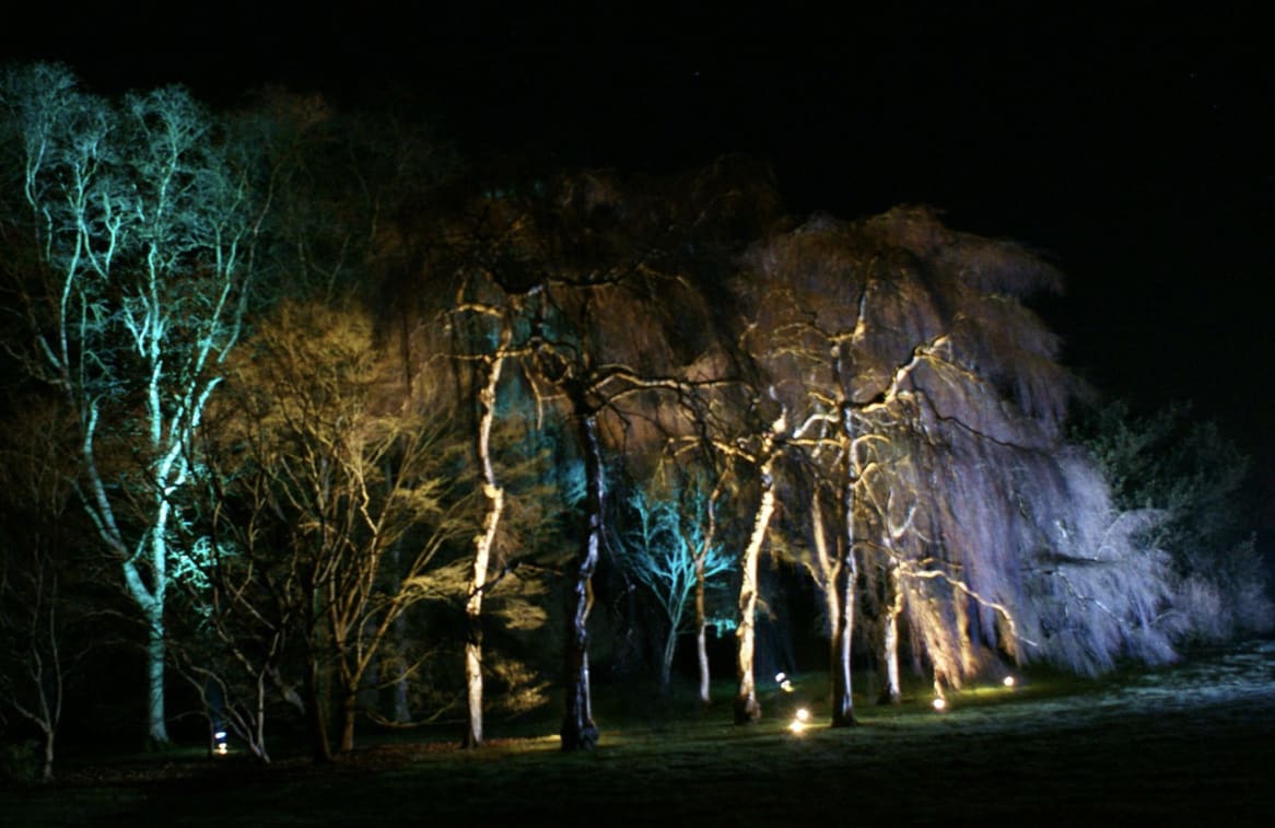 Outdoor Lighting Installers UK enchanted Forest Creative Lighting Services